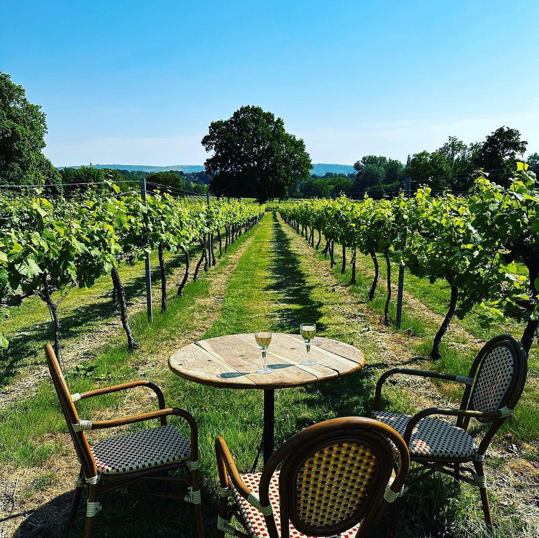 Nutbourne Vineyards