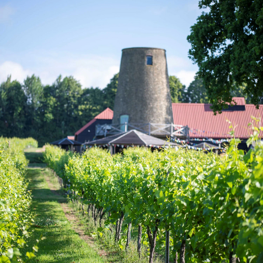 Nutbourne Vineyards