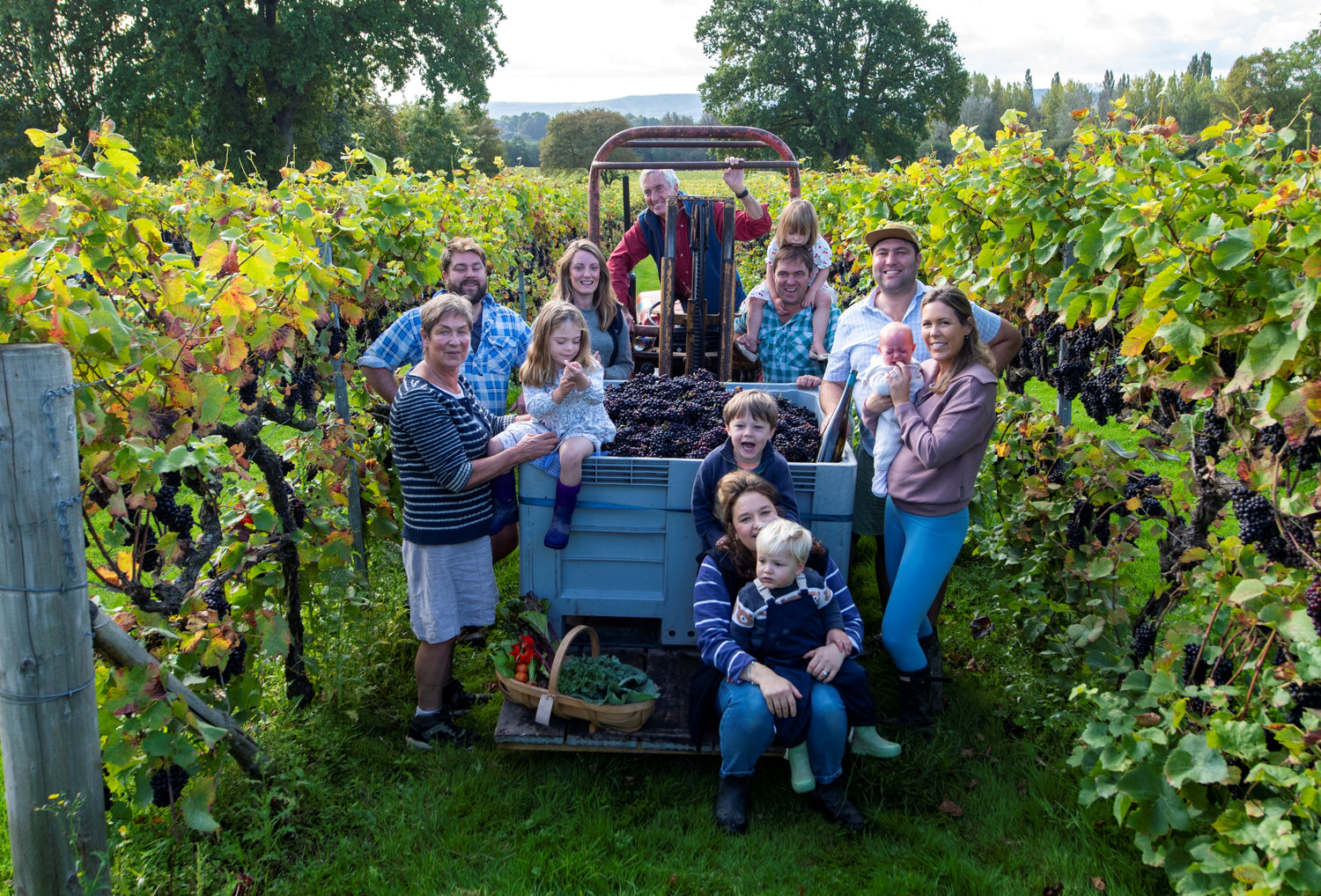 Nutbourne Vineyards